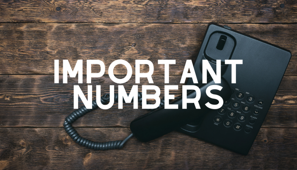 Important numbers | Florida-Bahamas Synod